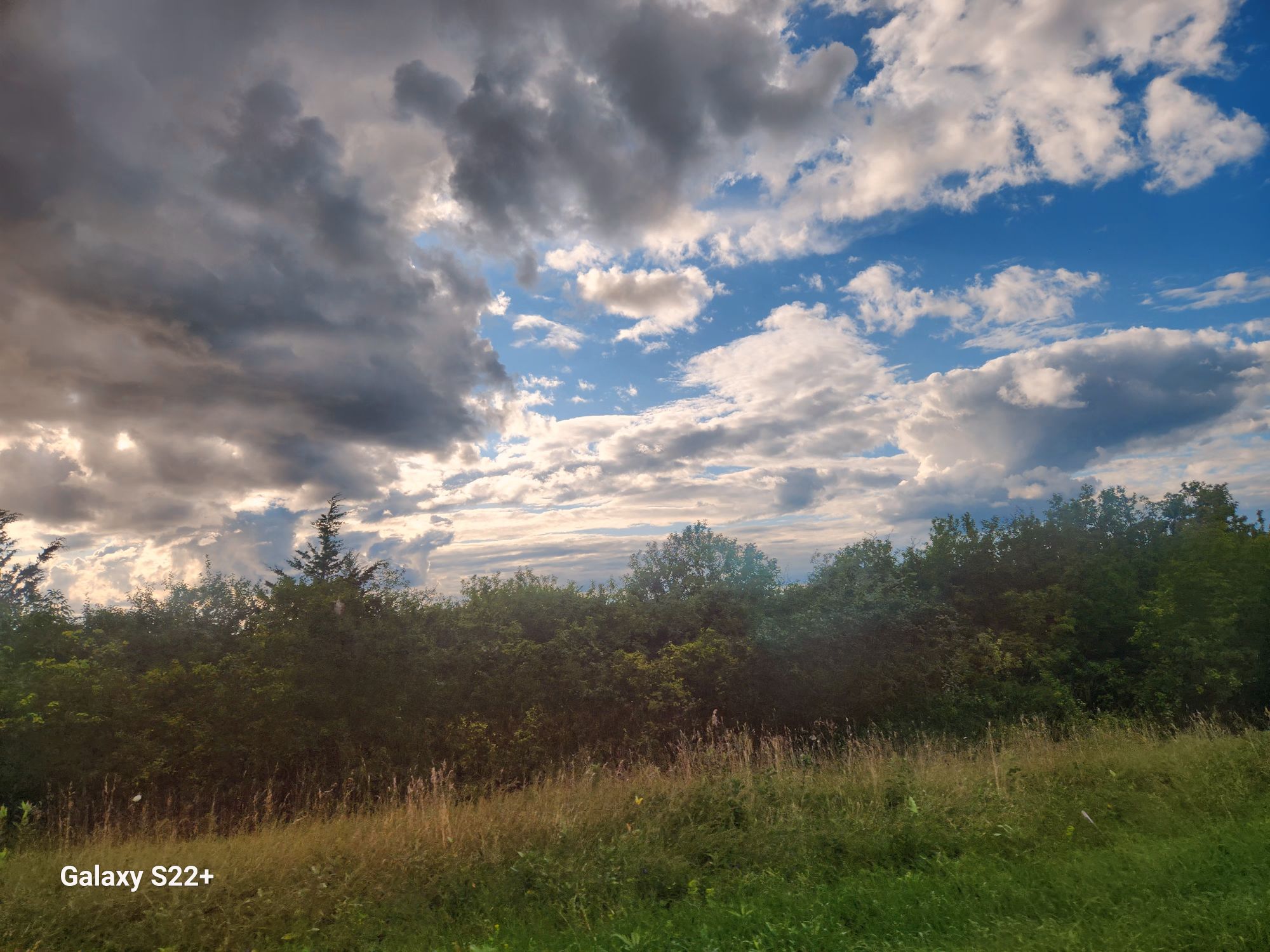 Psalm 5 and What’s going on? – Musings along life's journey